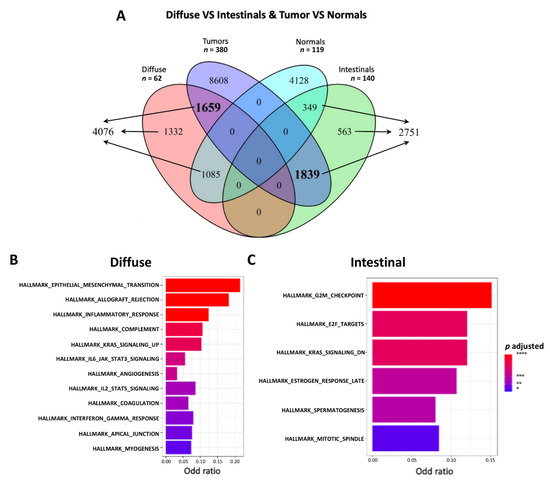 Gene Regulatory Network Characterization of Gastric Cancer’s ...