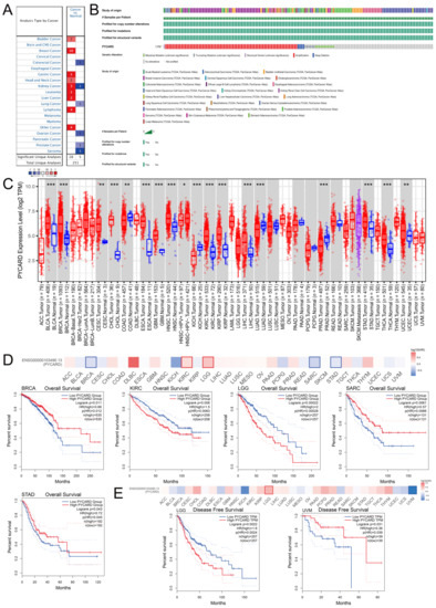 The Inflammasomes Adaptor Protein PYCARD Is a Potential Pyroptosis ...
