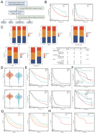 The Inflammasomes Adaptor Protein PYCARD Is a Potential Pyroptosis ...
