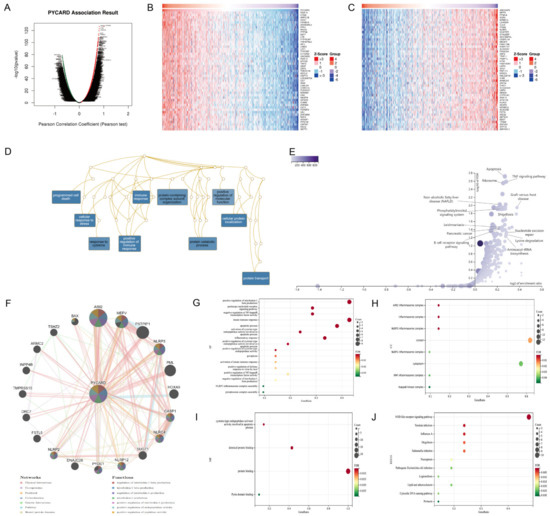 Cancers | Free Full-Text | The Inflammasomes Adaptor Protein PYCARD Is ...