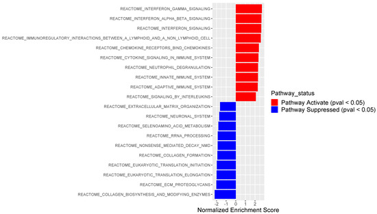 The Expression of the Immunoproteasome Subunit PSMB9 Is Related to ...