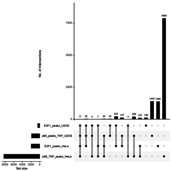 An Expanded Interplay Network between NF-κB p65 (RelA) and E2F1 ...