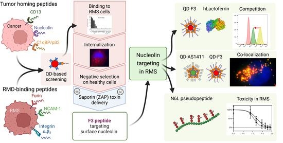 Cancers | Free Full-Text | Quantum Dot-Based Screening Identifies F3 ...