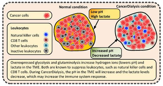 Dialysis as a Novel Adjuvant Treatment for Malignant Cancers