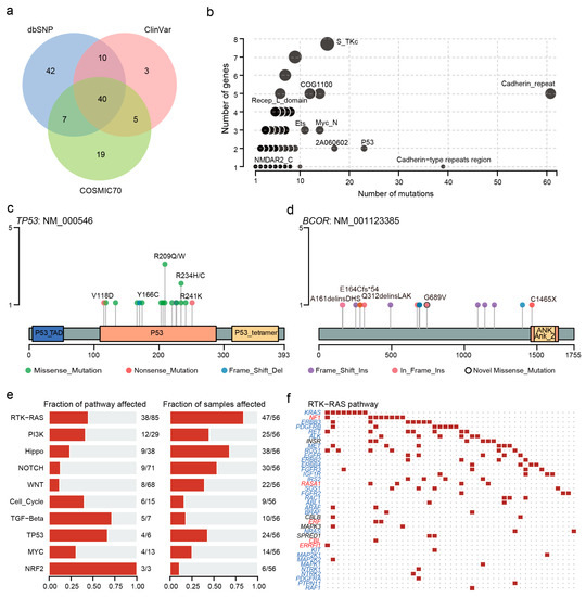 Clinical Practice of Targeted Capture Sequencing to Identify Actionable Alterations in ...