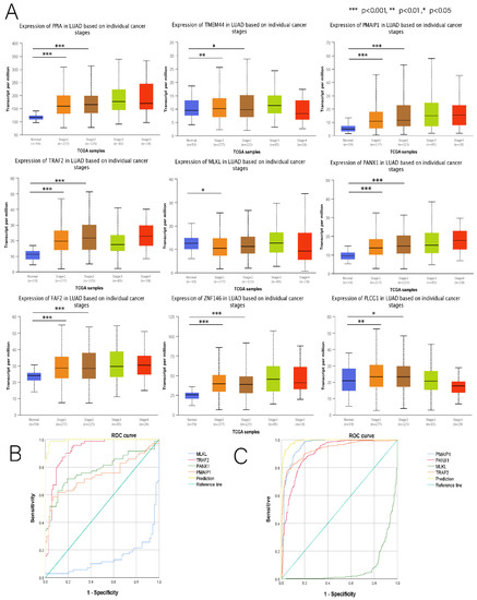 Construction of a Prognostic and Early Diagnosis Model for LUAD Based ...
