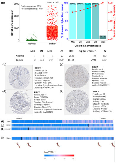 The Prognostic and Therapeutic Implications of the Chemoresistance Gene ...