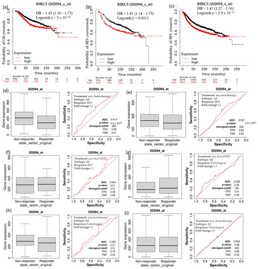 The Prognostic and Therapeutic Implications of the Chemoresistance Gene ...