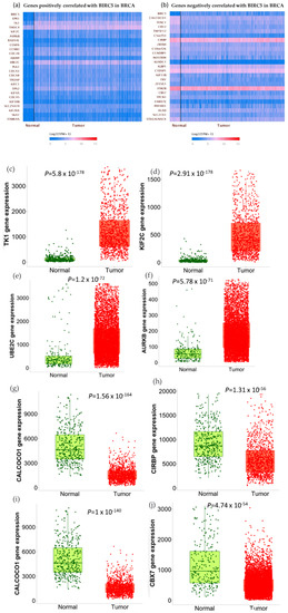 The Prognostic and Therapeutic Implications of the Chemoresistance Gene ...