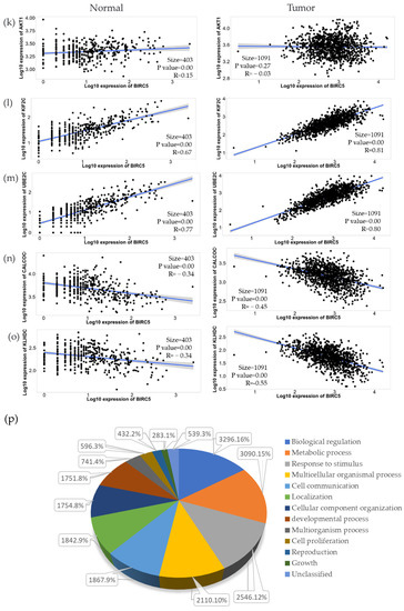 The Prognostic and Therapeutic Implications of the Chemoresistance Gene ...