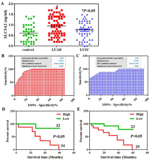Both In Situ and Circulating SLC3A2 Could Be Used as Prognostic Markers ...