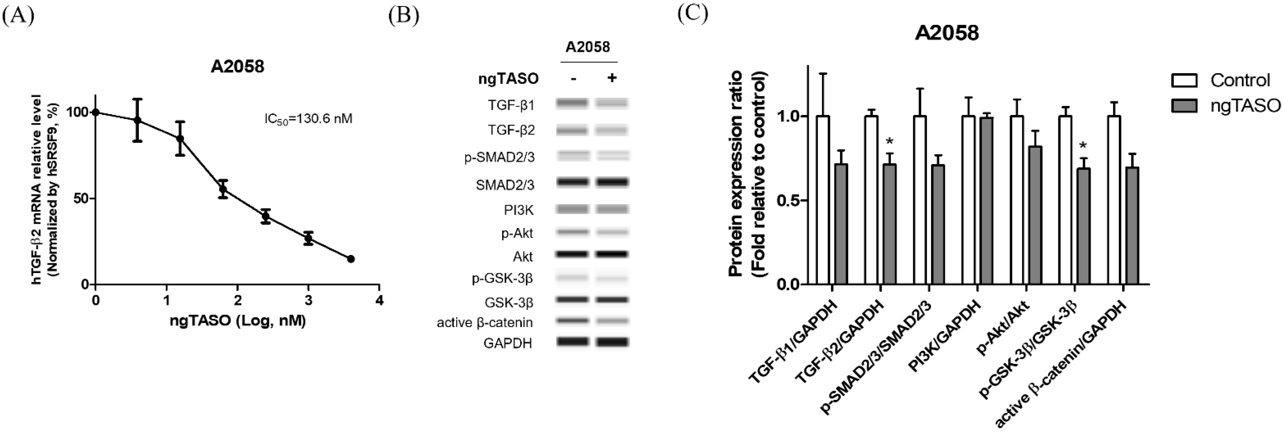 Cancers Free Full Text Next Generation Antisense Oligonucleotide Of