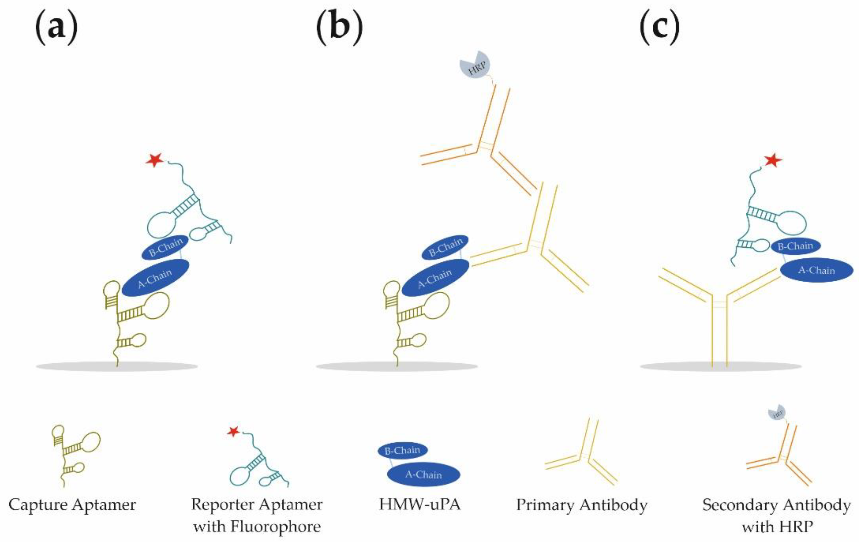 Aptamer-Based Sandwich Assay Formats for Detection and Discrimination of Human High- and Low ...