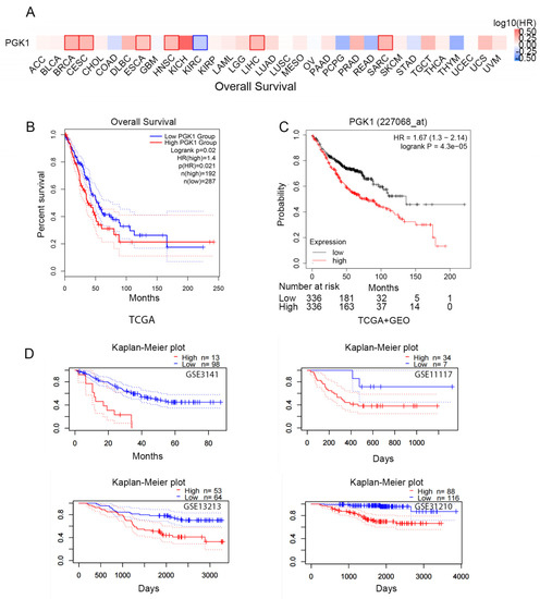 Cancers | Free Full-Text | Prognosis and Immunological Characteristics ...
