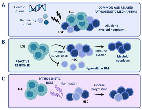 Lgl Leukemia Pathogenesis