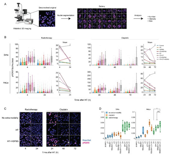 Evaluation of the Heat Shock Protein 90 Inhibitor Ganetespib as a ...