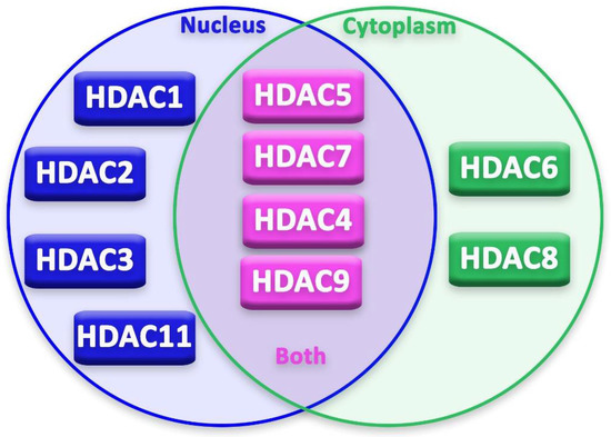 HDACi: The Columbus’ Egg in Improving Cancer Treatment and Reducing ...
