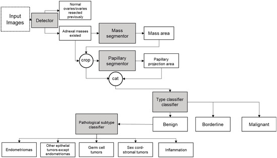 Cancers | Free Full-Text | A Deep Learning Model System for Diagnosis and Management of Adnexal ...