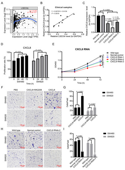 CXCL8 Up-Regulated LSECtin through AKT Signal and Correlates with the ...