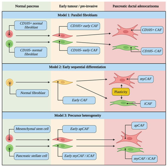 Exploring the Biology of Cancer-Associated Fibroblasts in Pancreatic Cancer