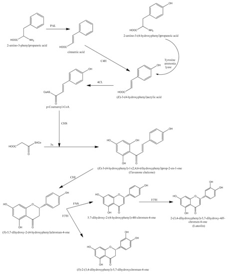 Luteolin, a Potent Anticancer Compound: From Chemistry to Cellular ...