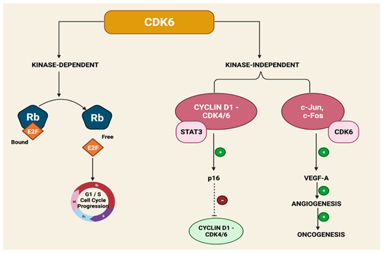 The Renaissance of CDK Inhibitors in Breast Cancer Therapy: An Update ...