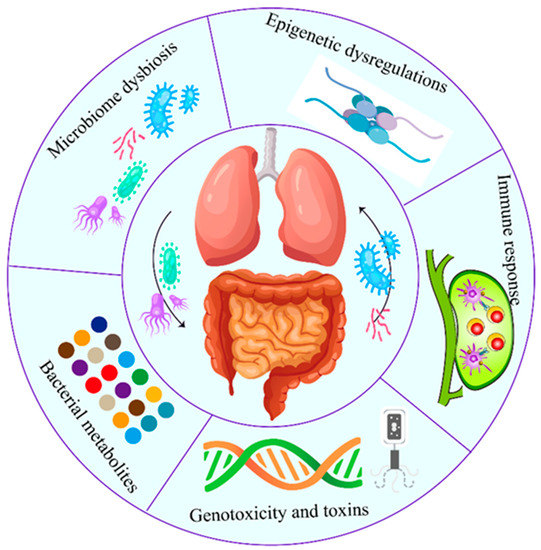 Cancers | Free Full-Text | The Function and Molecular Mechanism of ...