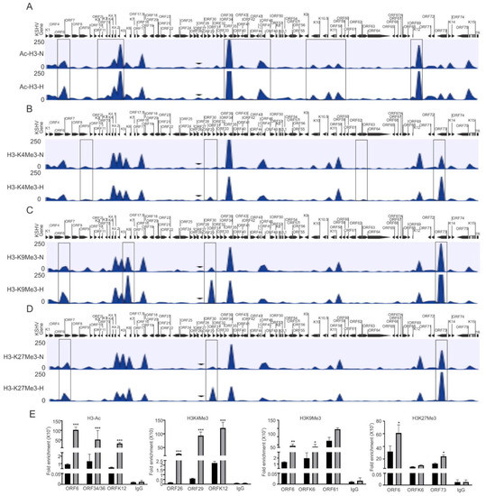 Epigenetic Reprogramming of Kaposi’s Sarcoma-Associated Herpesvirus during Hypoxic Reactivation