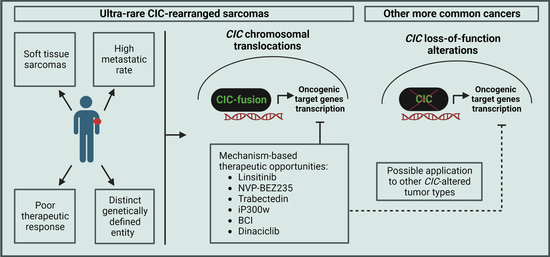 Cancers | Free Full-Text | CIC-Rearranged Sarcomas: An Intriguing ...
