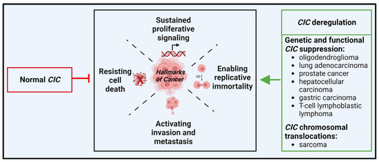 CIC-Rearranged Sarcomas: An Intriguing Entity That May Lead the Way to ...