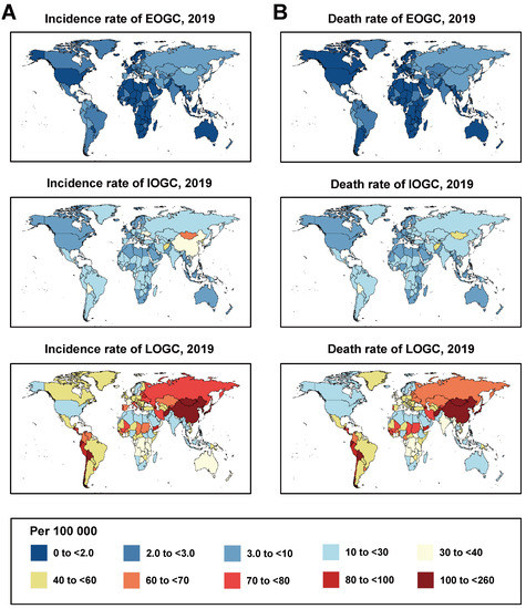 Cancers | Free Full-Text | Global, Regional, and National Burdens with ...