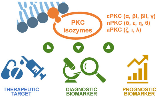 Protein Kinase C (PKC) Isozymes as Diagnostic and Prognostic Biomarkers ...