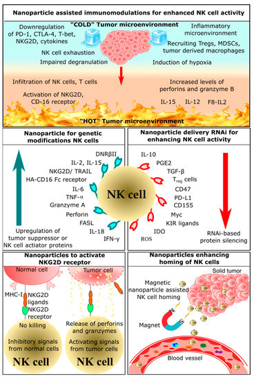Nanoparticle Enhancement of Natural Killer (NK) Cell-Based Immunotherapy