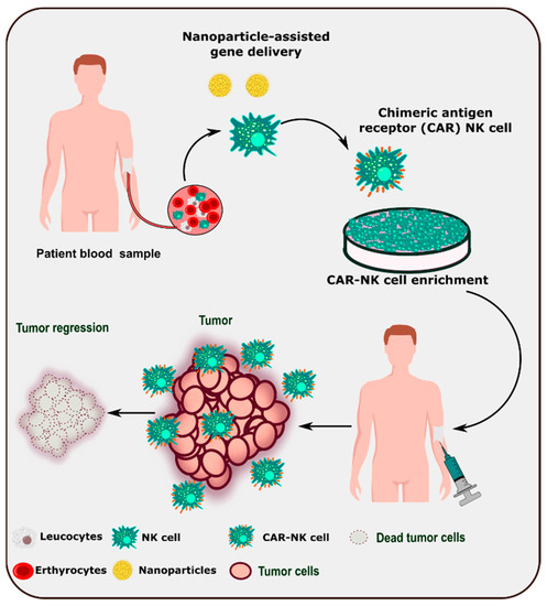 Nanoparticle Enhancement of Natural Killer (NK) Cell-Based Immunotherapy