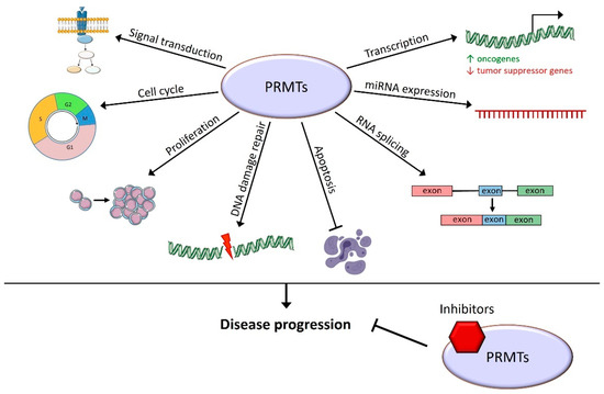 Protein Arginine Methyltransferases as Therapeutic Targets in Hematological Malignancies
