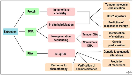 Cancers | Free Full-Text | Classic and New Markers in Diagnostics and ...