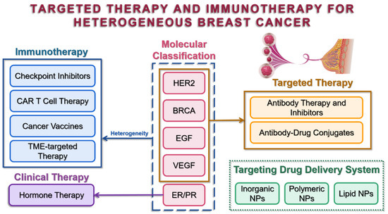 Cancers | Free Full-Text | Targeted Therapy and Immunotherapy for ...