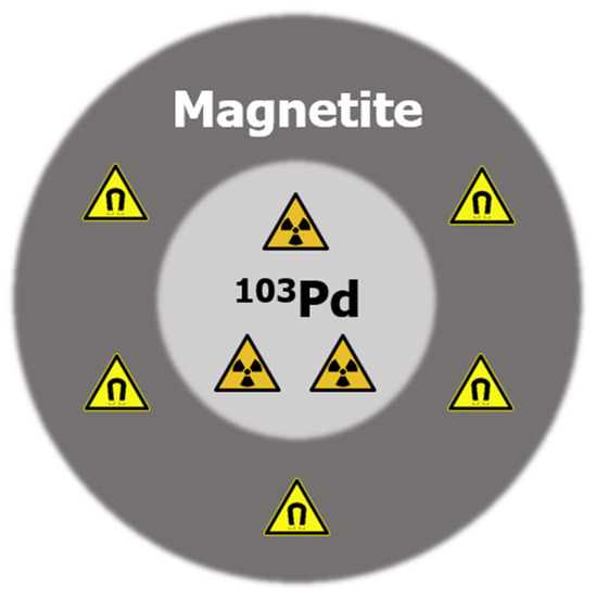 Feasibility Study on the Radiation Dose by Radioactive Magnetic Core ...