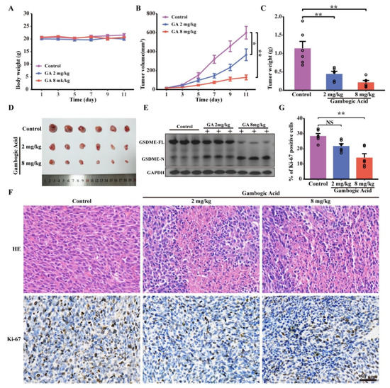 Gambogic Acid Induces Pyroptosis of Colorectal Cancer Cells through the ...