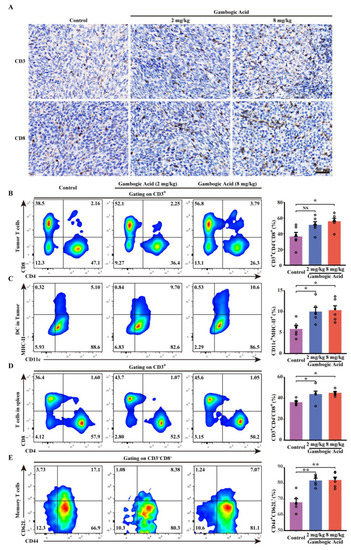 Gambogic Acid Induces Pyroptosis of Colorectal Cancer Cells through the ...