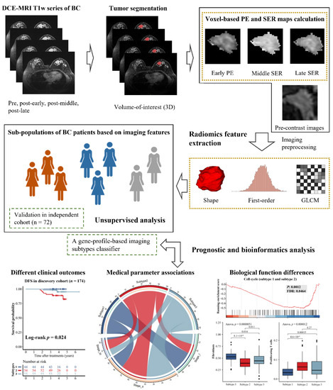 Unsupervised Analysis Based on DCE-MRI Radiomics Features Revealed Three Novel Breast Cancer ...