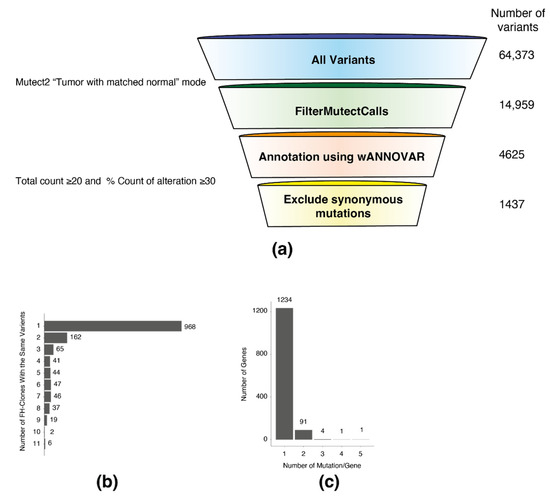 Depletion of Fumarate Hydratase, an Essential TCA Cycle Enzyme, Drives ...