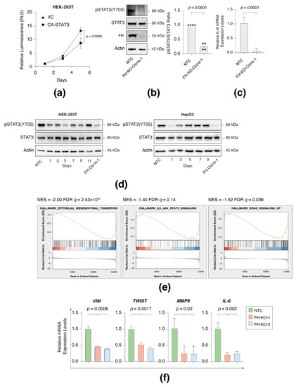 Depletion of Fumarate Hydratase, an Essential TCA Cycle Enzyme, Drives ...