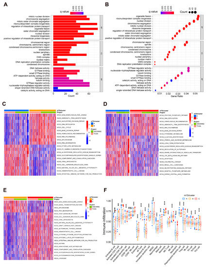 A Novel m7G-Related Gene Signature Predicts the Prognosis of Colon Cancer