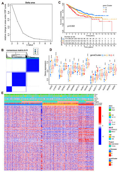 A Novel m7G-Related Gene Signature Predicts the Prognosis of Colon Cancer
