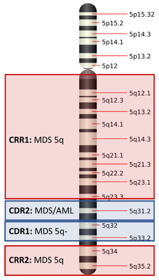 Myelodysplastic Syndromes with Isolated del(5q): Value of Molecular ...