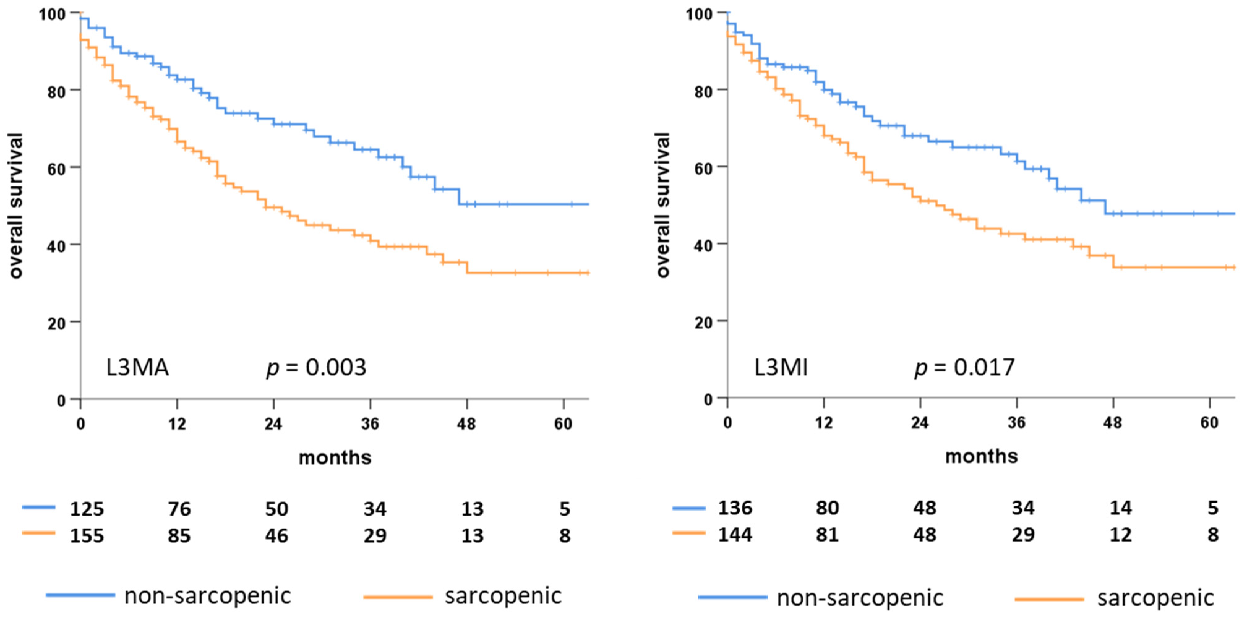 Sarcopenia as a Prognostic Marker in Elderly Head and Neck Squamous ...