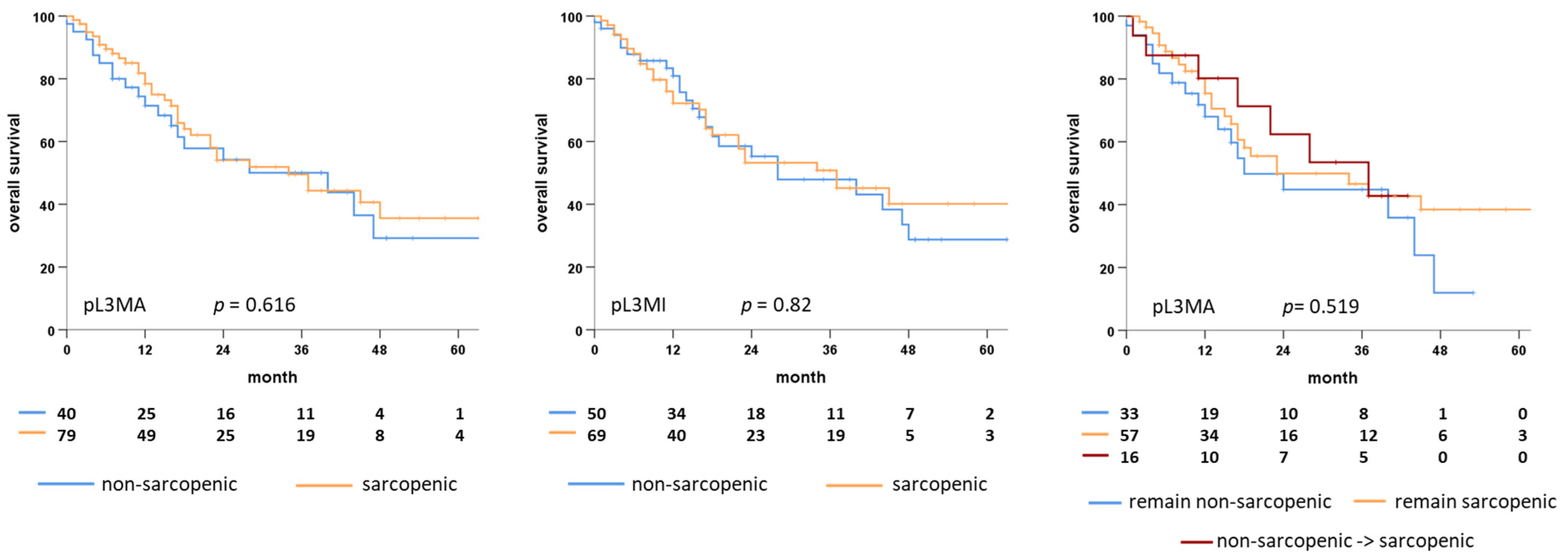 Sarcopenia as a Prognostic Marker in Elderly Head and Neck Squamous ...