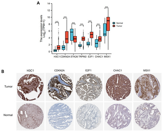 Cancers | Free Full-Text | Construction of Oxidative Stress-Related ...