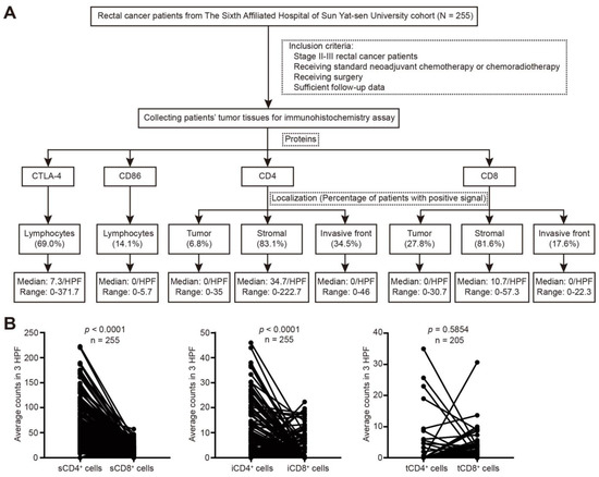 Cancers | Free Full-Text | Expression Pattern and Prognostic Value of ...
